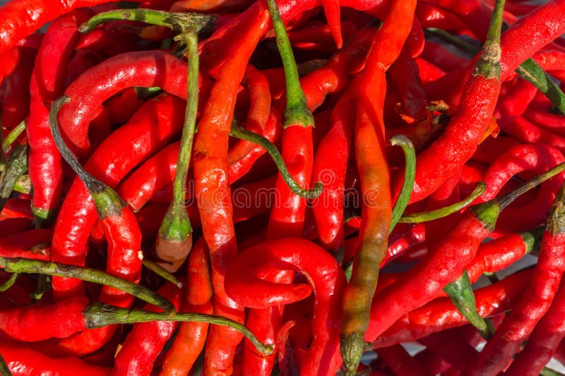Close Up Red Nature Chili Texture Background Stock Image - Image of ...