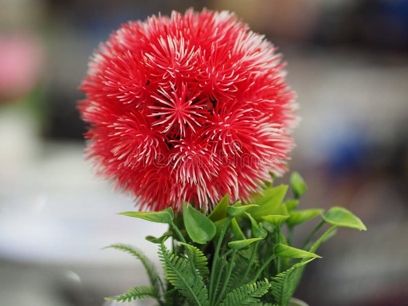 Close-up. Red Plastic Artificial Flower Stock Image - Image of flower ...