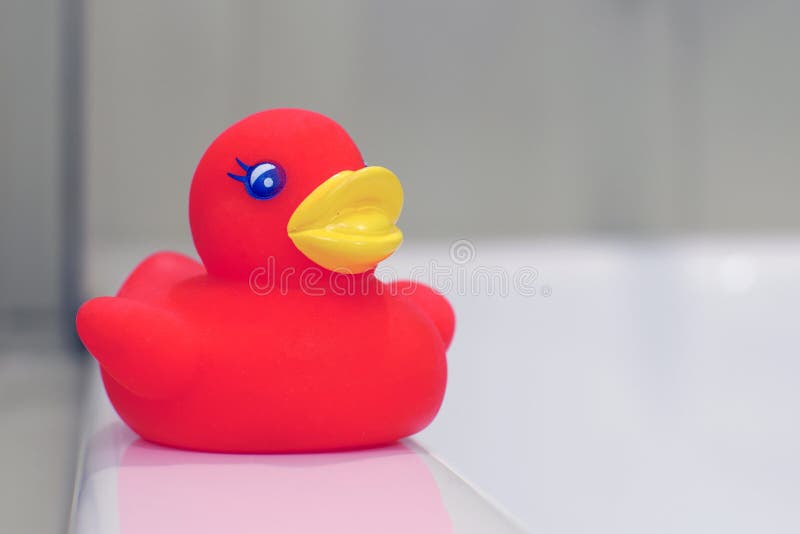 Red rubber duck stock image. Image of wash, plastic - 139108211