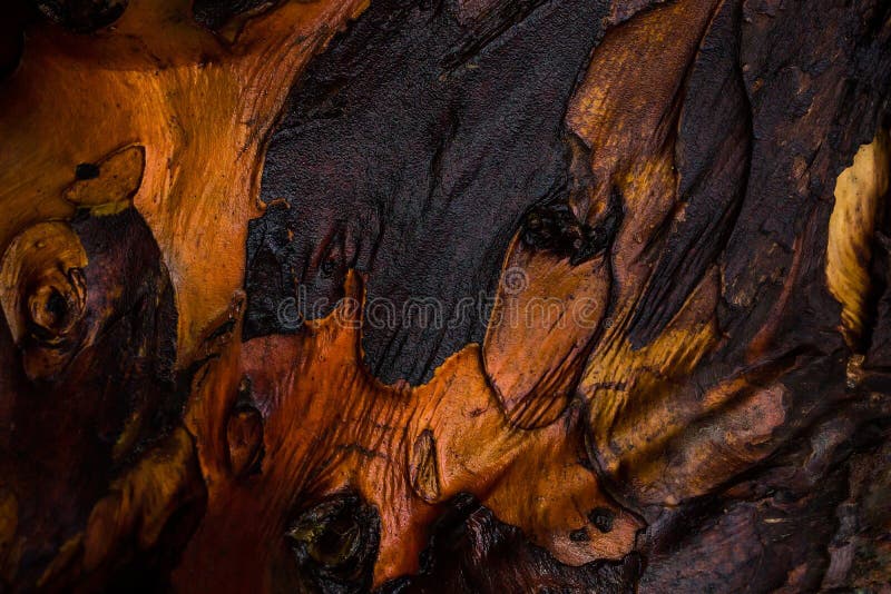 Close up on red tree bark stock image. Image of lumber - 90253623