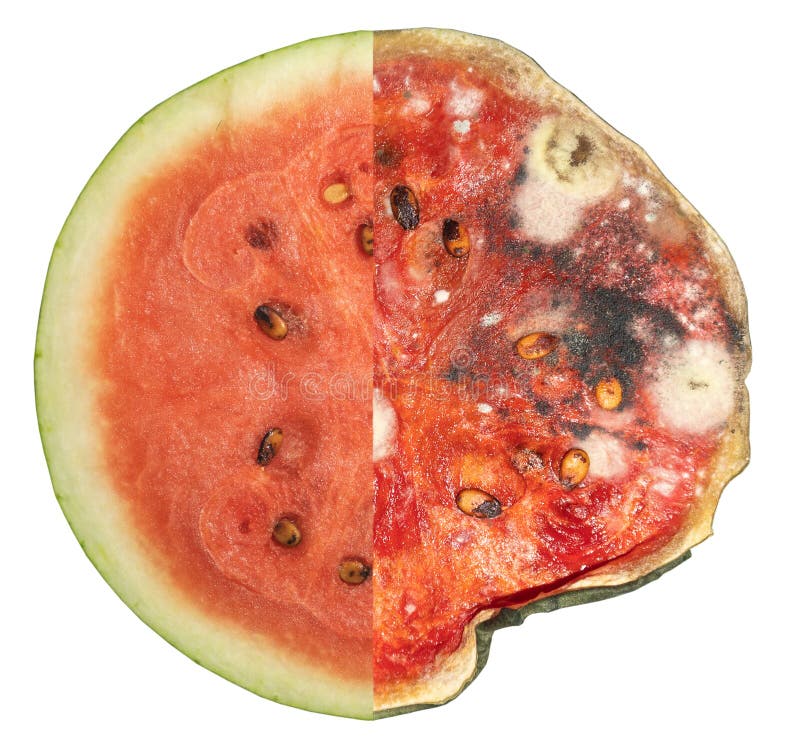Watermelon Rotten, Caused by Mold Stock Image - Image of double, close ...