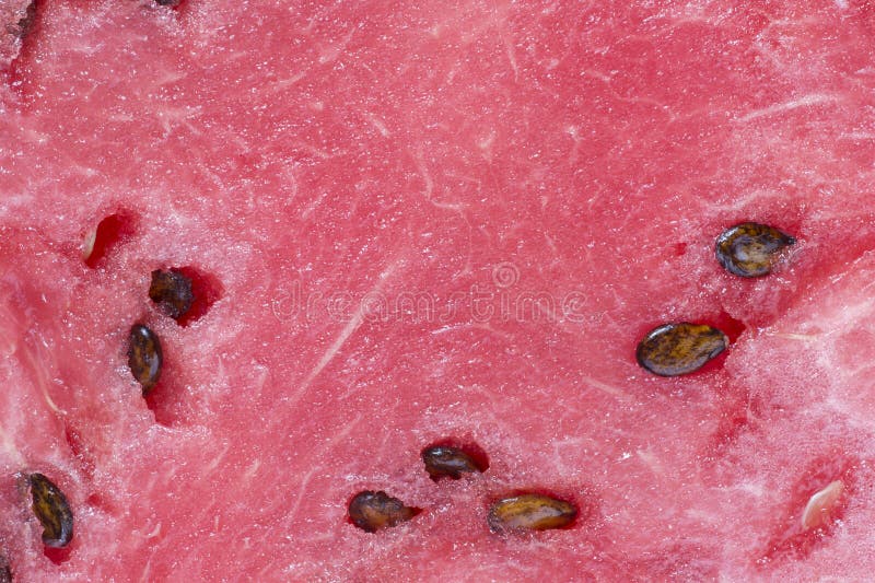 Close Up of Red Watermelon Pulp Stock Photo - Image of fresh, close ...