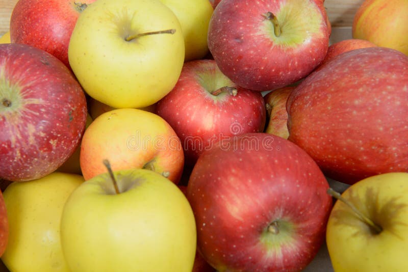 Close-up of Red and Yellow Apples Stock Photo - Image of diet ...
