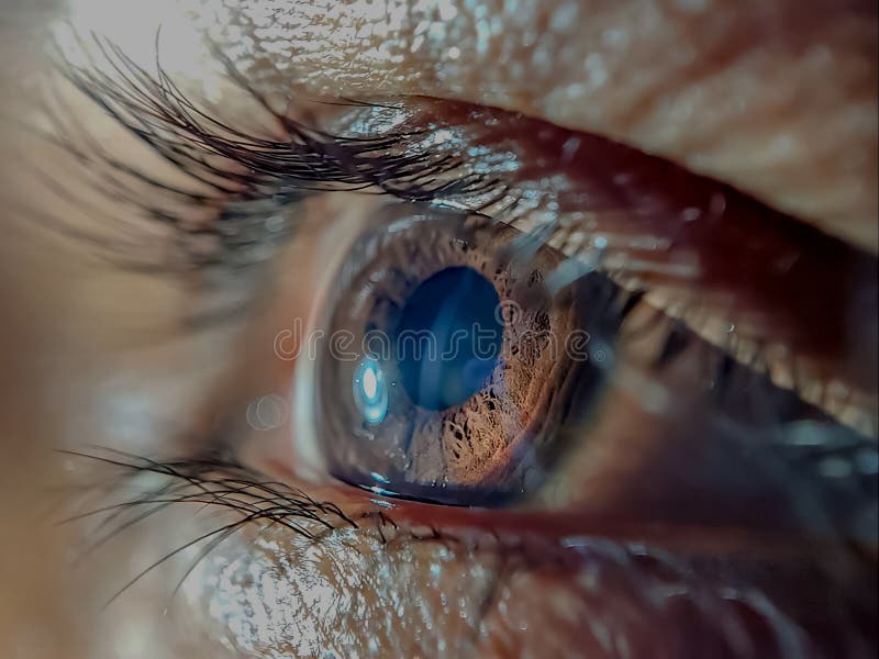 Seethebeauty Stock Photos - Free & Royalty-Free Stock Photos from ...