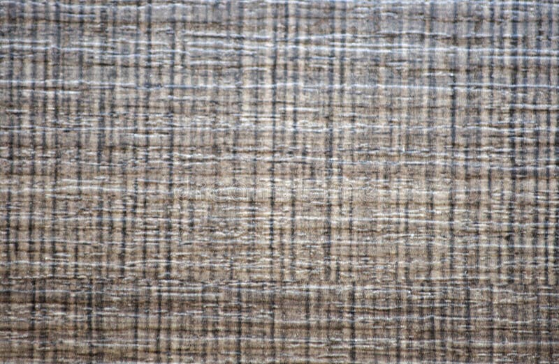 157 Ribbed Oak Stock Photos - Free & Royalty-Free Stock Photos from ...