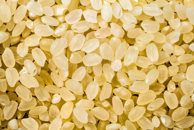 Close-up of rice grains. stock image. Image of diet - 253709347