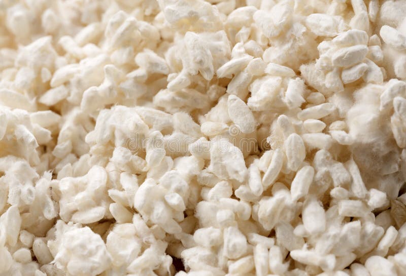 Close-up of Rice Koji Throughout the Screen Stock Photo - Image of koji ...