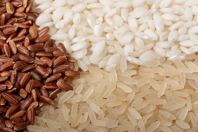 Gluten-Free Cereal Grains stock image. Image of oats - 20690973