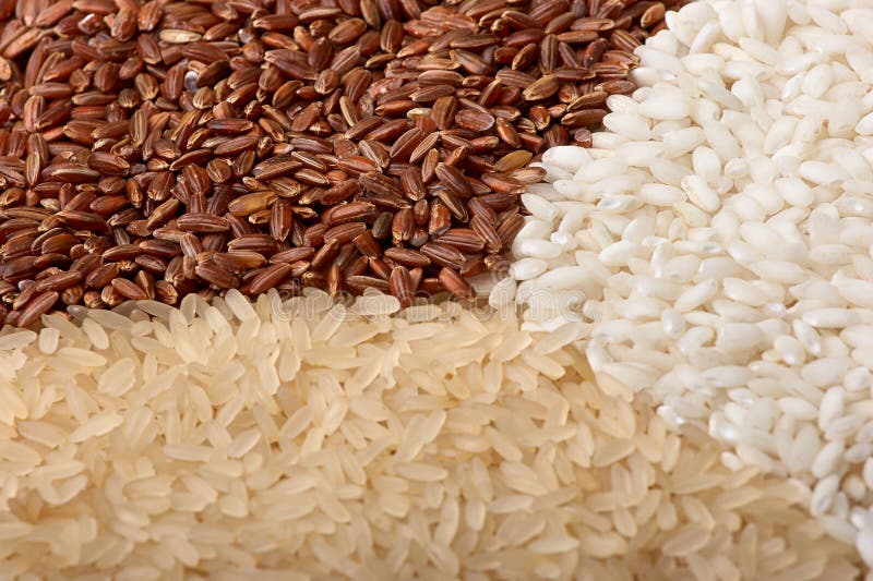 Close-up of Rice (macro, Three Colors) Stock Photo - Image of desktop ...