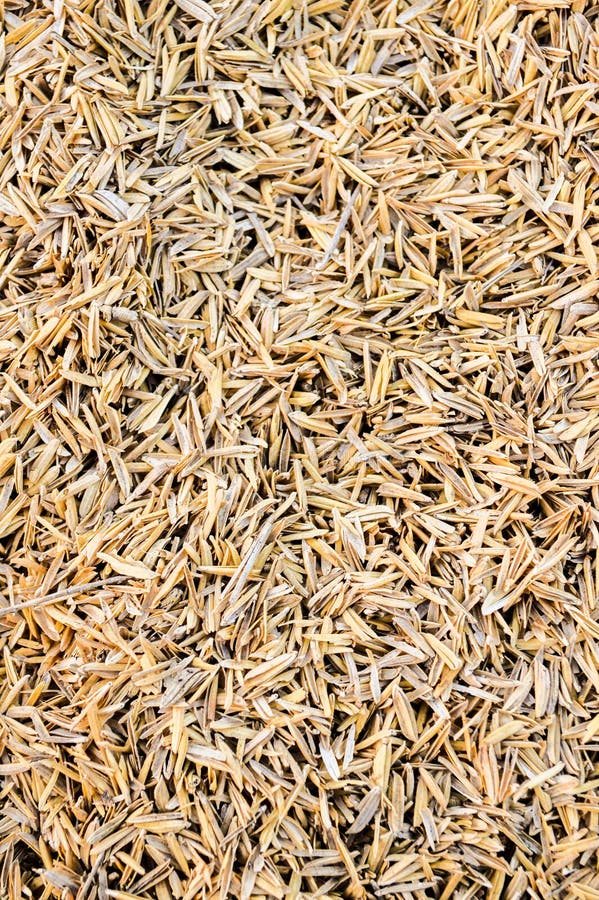 Rice Husk Stock Photos - Download 2,397 Royalty Free Photos