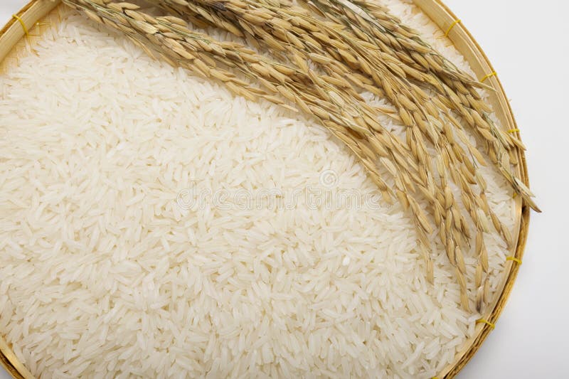 Close Up of Rice and Paddy Surface Texture in Basket Bamboo on White ...