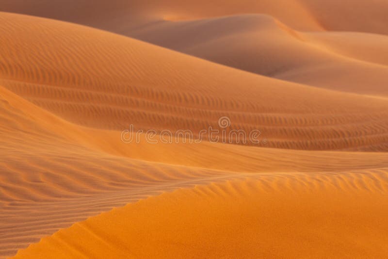 Close Up of the Ridge of Desert Dunes, with Wavy Patterns Drawn by the ...