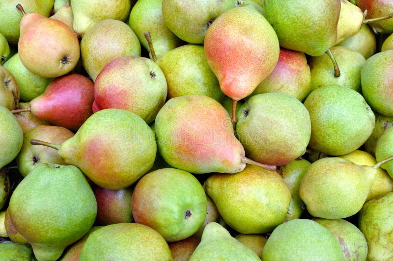 Close-up of Ripe Organic Pears Stock Photo - Image of organic, pears ...