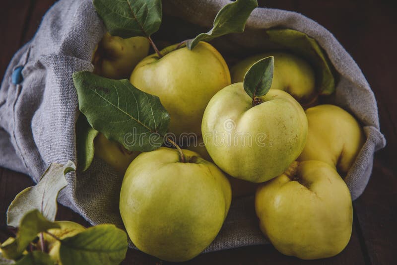 Close Up of Quinces on a Barrel during Sunrise Stock Image - Image of ...