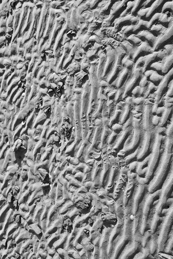 Close-up of Rippled Sand Texture with Small Rocks Stock Image - Image ...