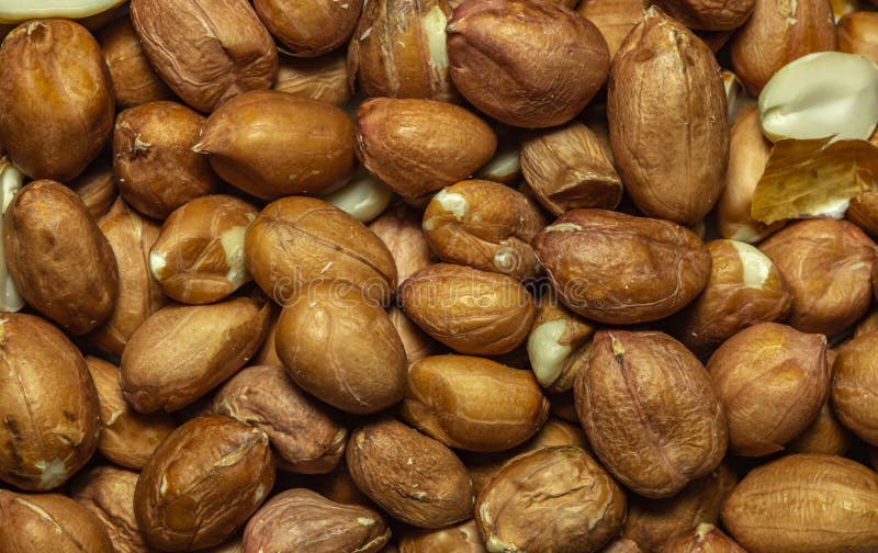 Close-up of Roasted Peanut Snacks Stock Photo - Image of dish, hazel ...