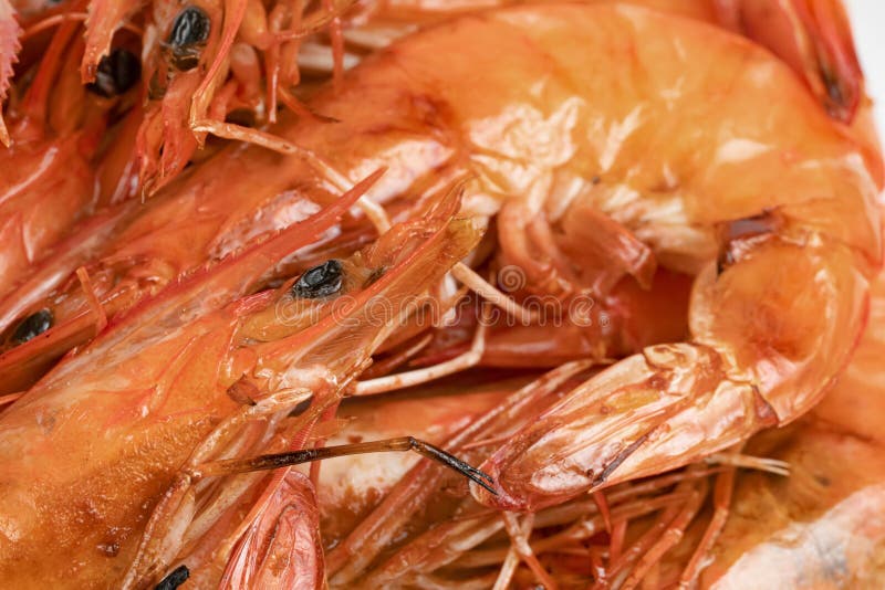 Close Up Roasted Prawn or Grilled Shrimp Stock Photo - Image of fried ...
