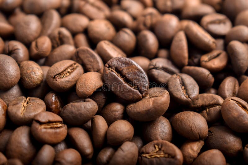 Robusta Coffee Beans Textured Background Stock Photo - Image of brown ...