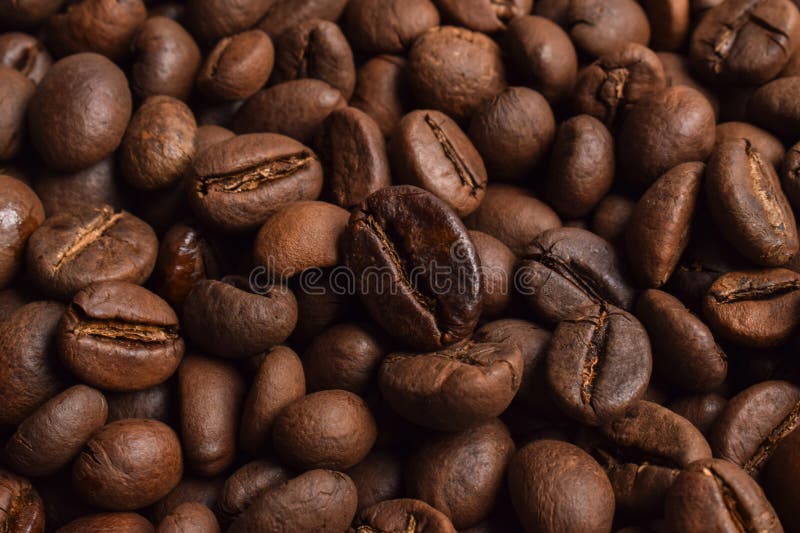 Robusta Coffee Beans Textured Background Stock Image - Image of ...
