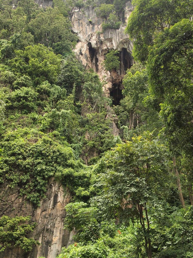 Rock Slope with Trees and Green Foliage Stock Photo - Image of mountain ...