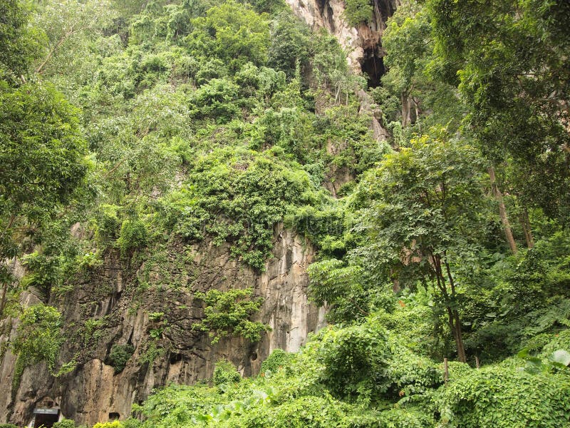 Rock Slope with Trees and Green Foliage Stock Photo - Image of green ...
