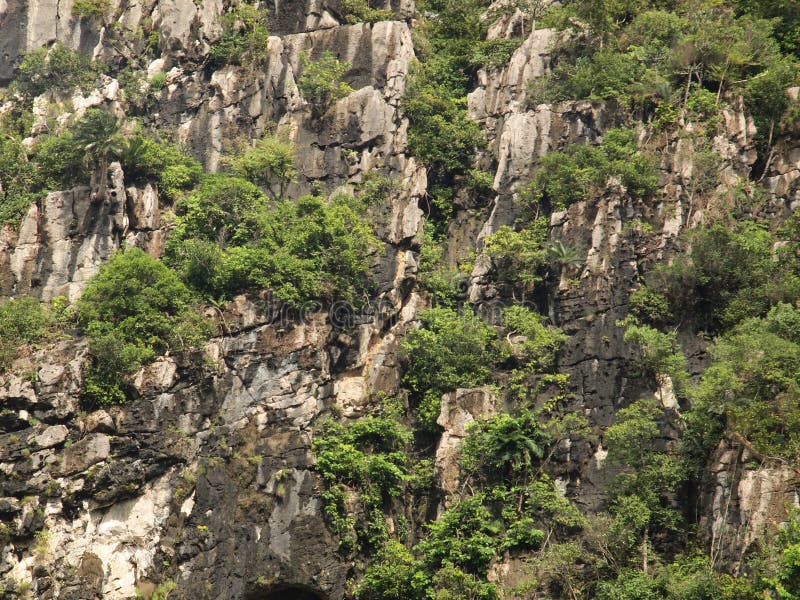 Rock Slope with Trees and Green Foliage Stock Photo - Image of ...