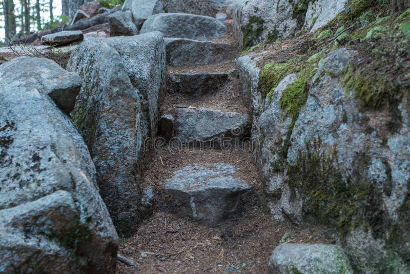 Rock and Mud Stairs Going To the Light in a Forest Near Honolulu, US ...