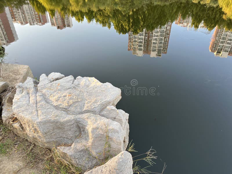 Close Up of the Rock Surface and the Reflection of the Beautiful Park ...