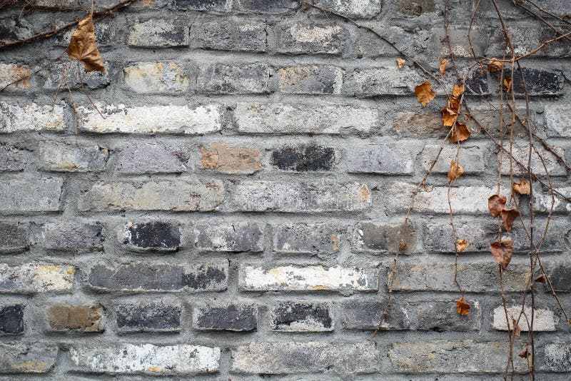 Close up Rock wall stock image. Image of paint, grunge - 40720533