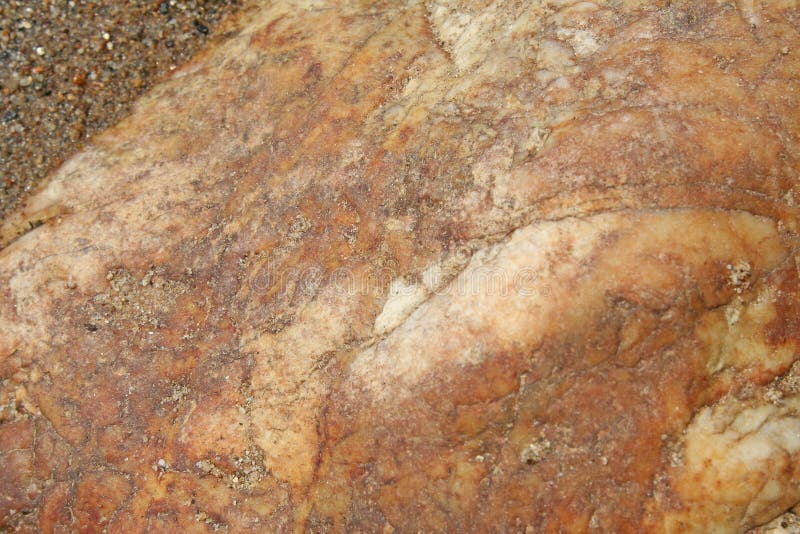 Rocks Near the River in the Forest Stock Image - Image of forest, dust ...