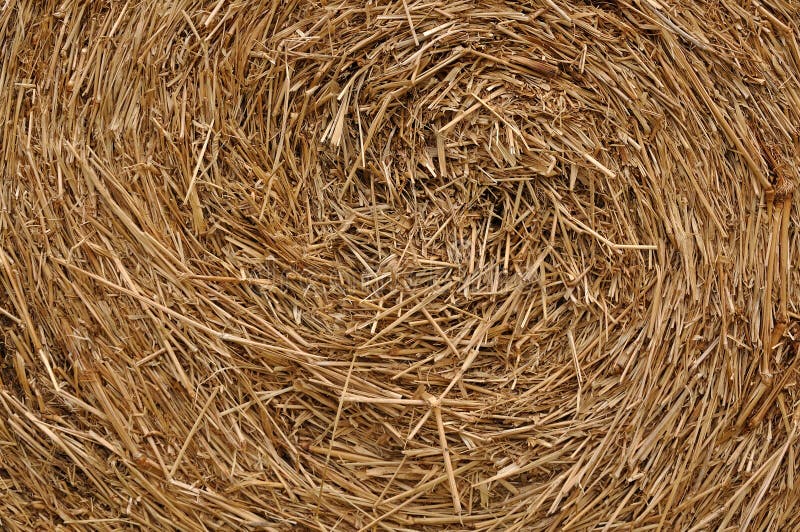 Close Up Roll of Haystack, Swirl Pattern. Stock Image - Image of gold ...
