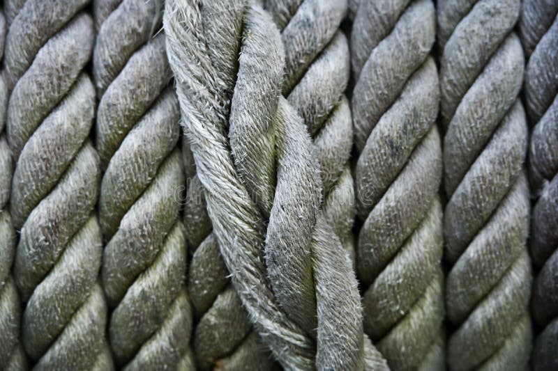 Close up of rope stock photo. Image of twisted, strong - 23334250