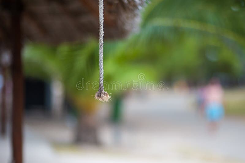 Close-up Rope, Hanging Rope, Pull the Rope the Door Opens Stock Photo ...