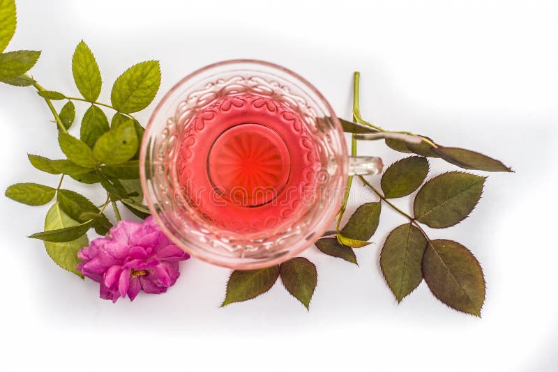 Close Up of Rose Tea of Pink Color with Rosa Petals Isolated on Withe ...