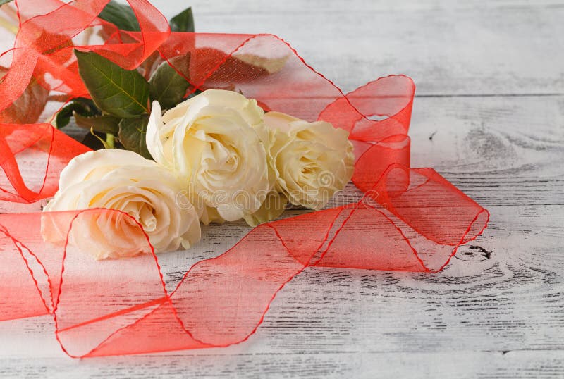 Close Up Roses and Red Ribbon on White Stock Photo - Image of love ...