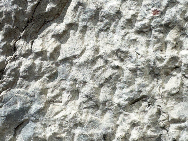 Gray Rock on the Edge of the Grass Stock Photo - Image of nature, grey ...