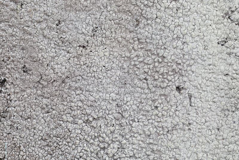 Close Up Rough Pattern of White Concrete Wall Texture Background Stock ...