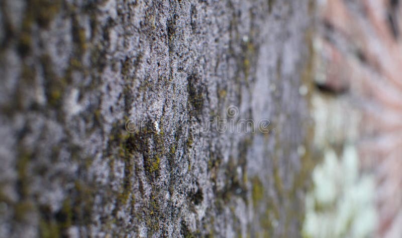 Close-Up of Rough Stone Wall with Subtle Moss Texture Stock Photo ...