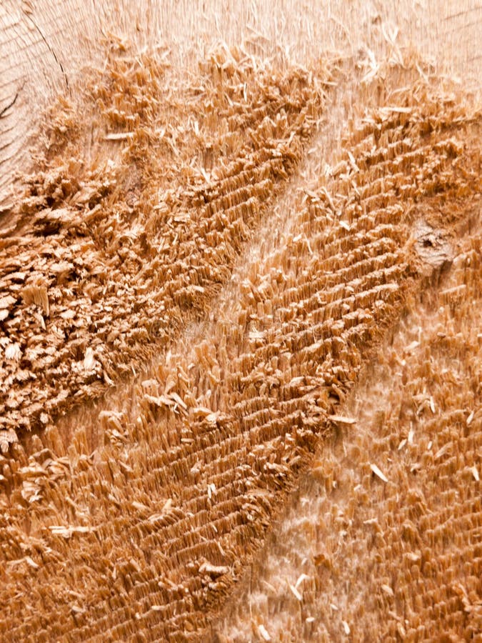 Close Up Rough Texture of a Wooden Post Surface Outside in Light Stock ...
