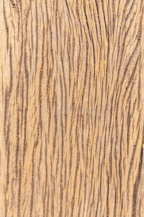 Closeup Rough Wood Texture with Natural Pattern. Stock Photo - Image of ...