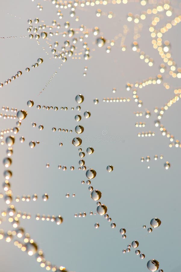Close Up of Round Drops of Dew on a Cobweb, Blue Abstract Background ...