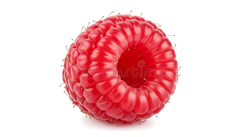 Raspaspaspberry Stock Illustrations – 7 Raspaspaspberry Stock ...