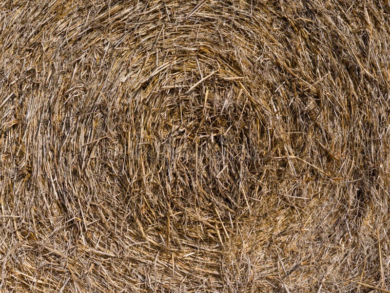 Stacked Circular Hay Bale Texture Stock Photos - Free & Royalty-Free ...