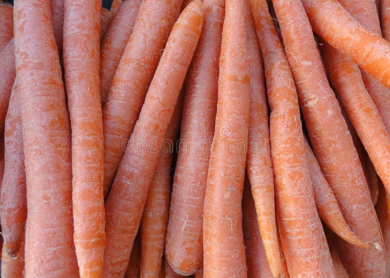 Close-up of Row Carrots on Display Stock Photo - Image of horizontal ...