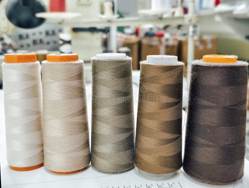 Close-up of a Row of Sewing Thread Spools in Various Shades of Brown ...