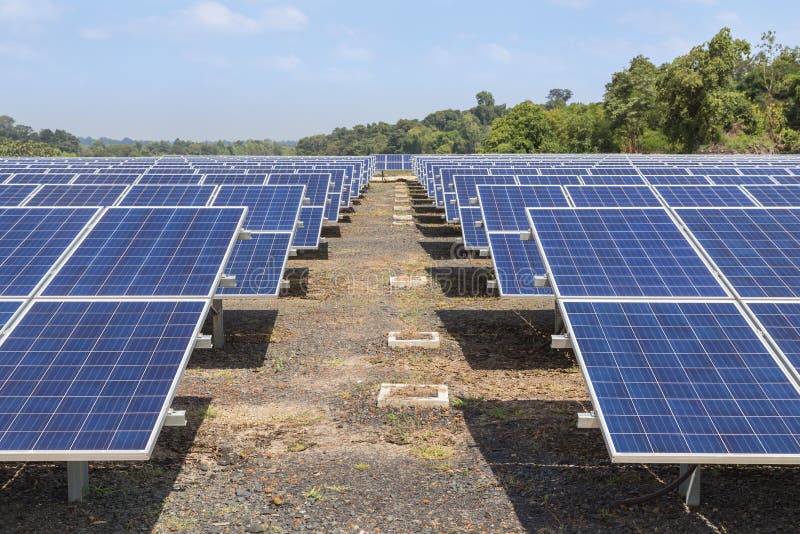 Close Up Rows Array Of Polycrystalline Silicon Solar Cells Or ...