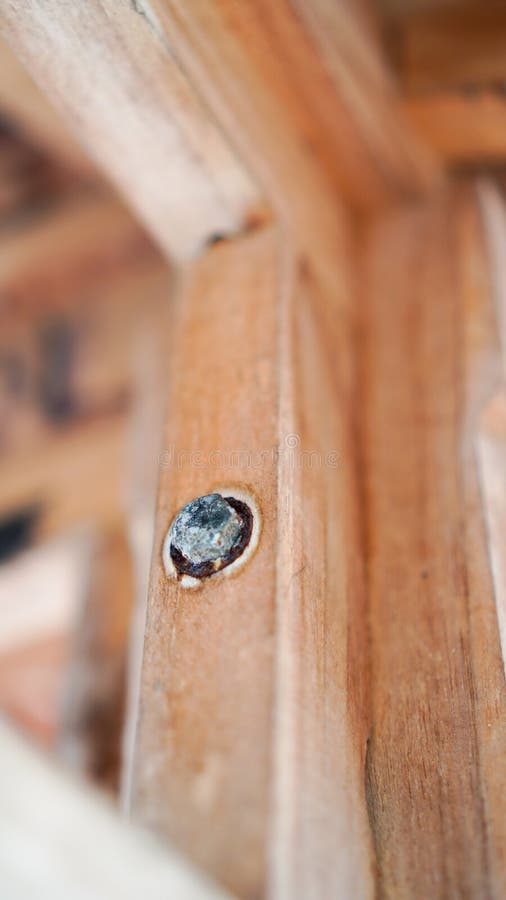 Close Up of a Rusted Bolt in the Wood Stock Image - Image of blue, bolt ...