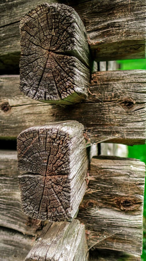 Close-Up of Rustic Wooden Logs with Detailed Texture in Natural Setting ...