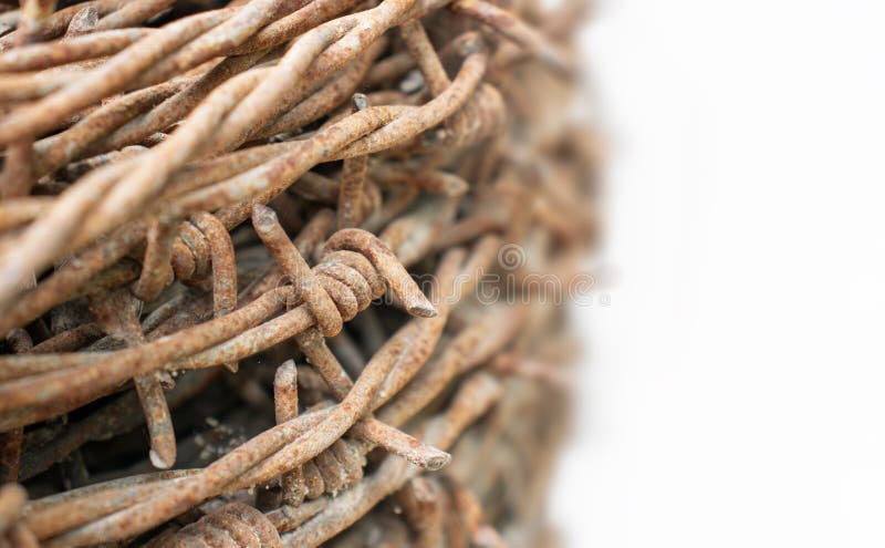 Close-up of Rusty Barbed Wire on a Light Background Stock Image - Image ...