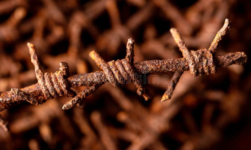 Close-up of Rusty Metal Barbed Wire Stock Photo - Image of protection ...